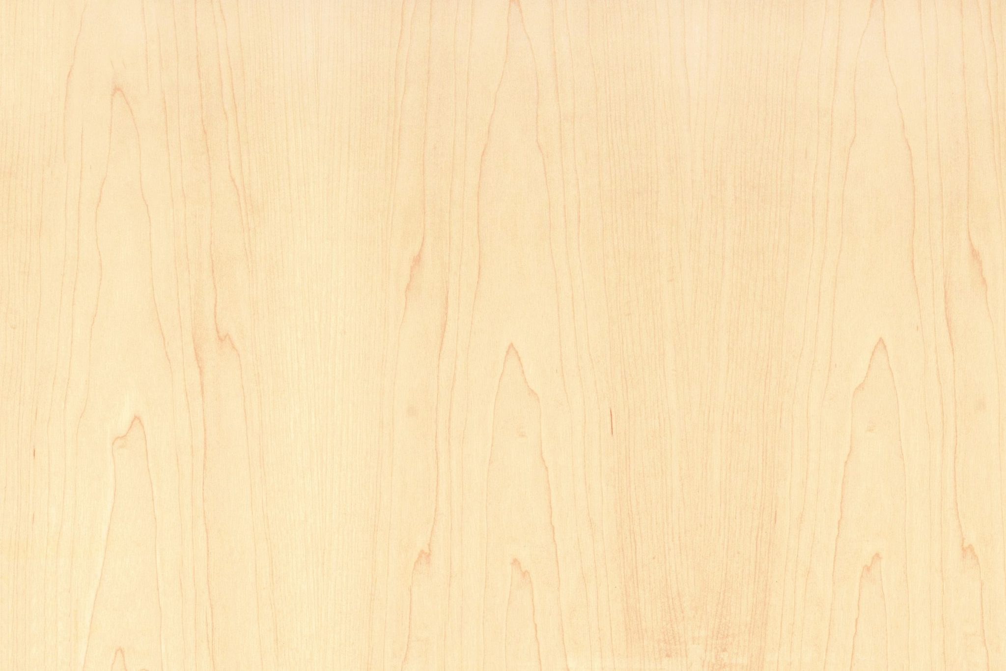 Rock Maple | Processed Forest Products