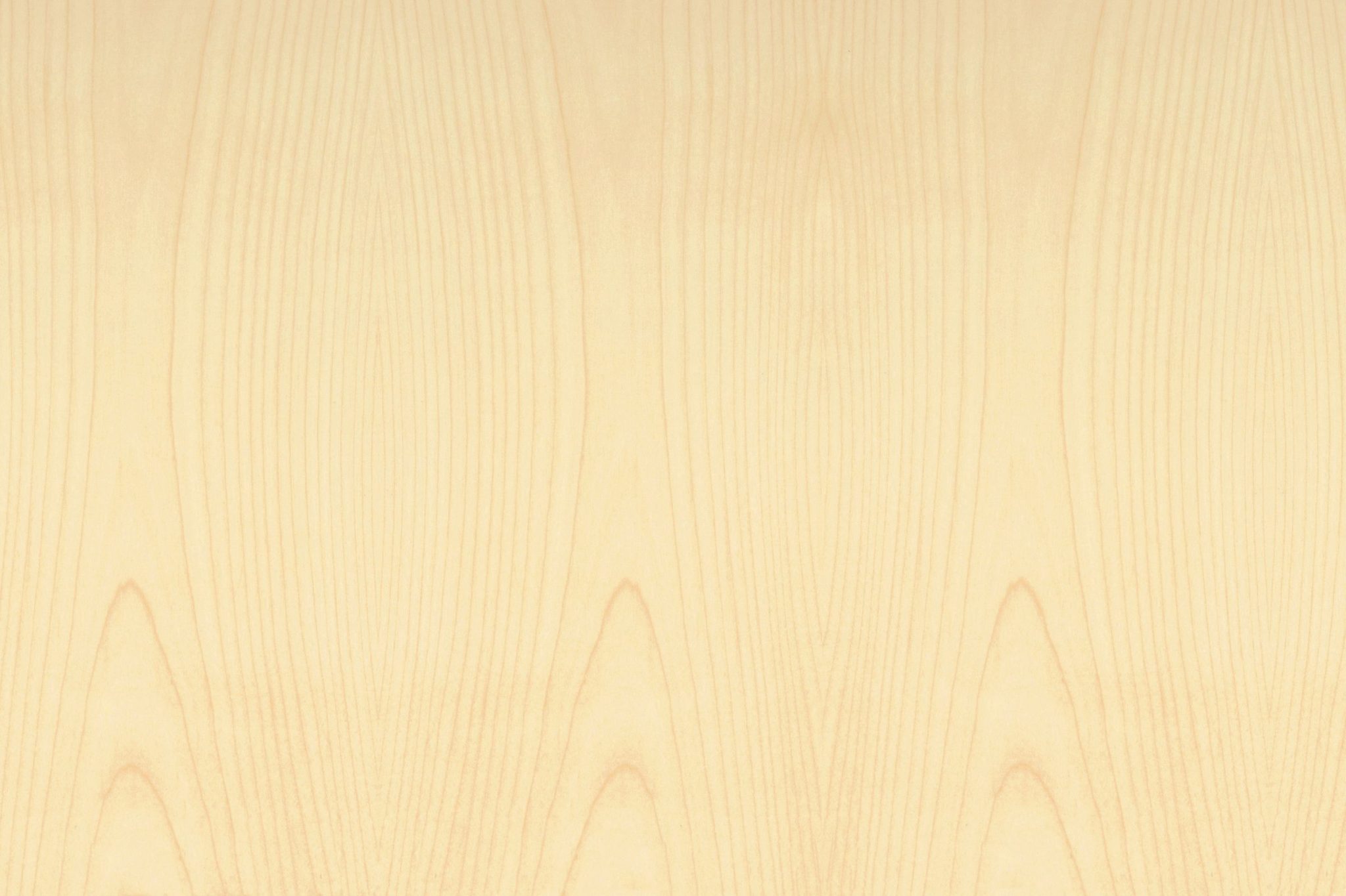 White Sycamore | Processed Forest Products
